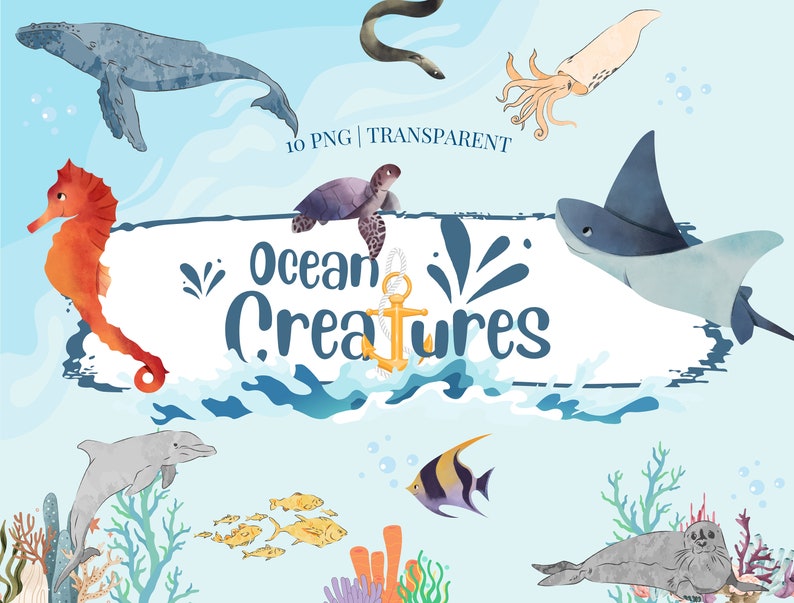 Ocean Creatures Clipart, Sea Animals PNG Bundle, Under the Sea Party ...