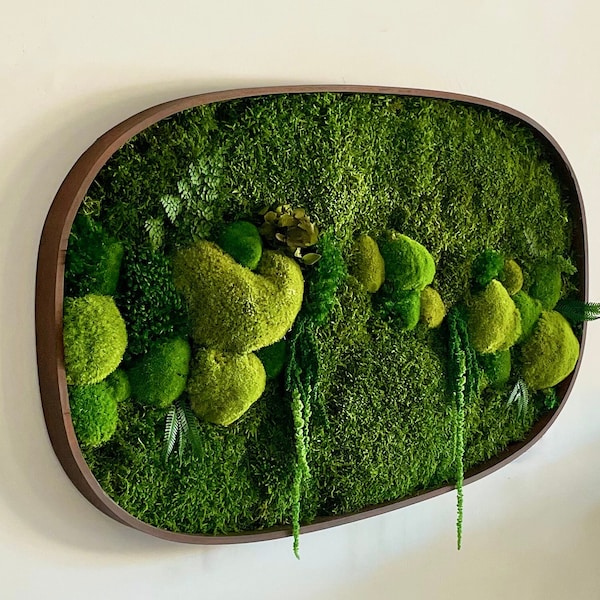 Moss Wall Art, Preserved Moss Decor, Large Wooden Framed Moss Wall ...