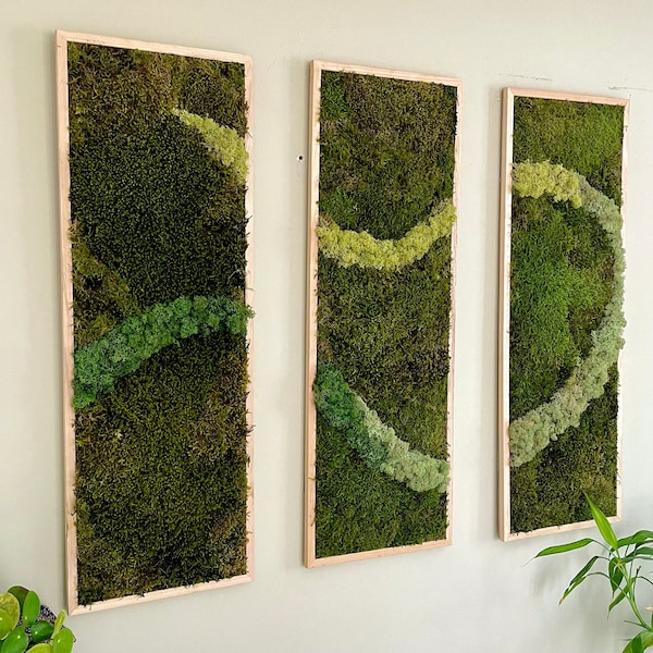 Moss Wall Art, Preserved Moss Decor, Large Wooden Framed Moss Wall ...