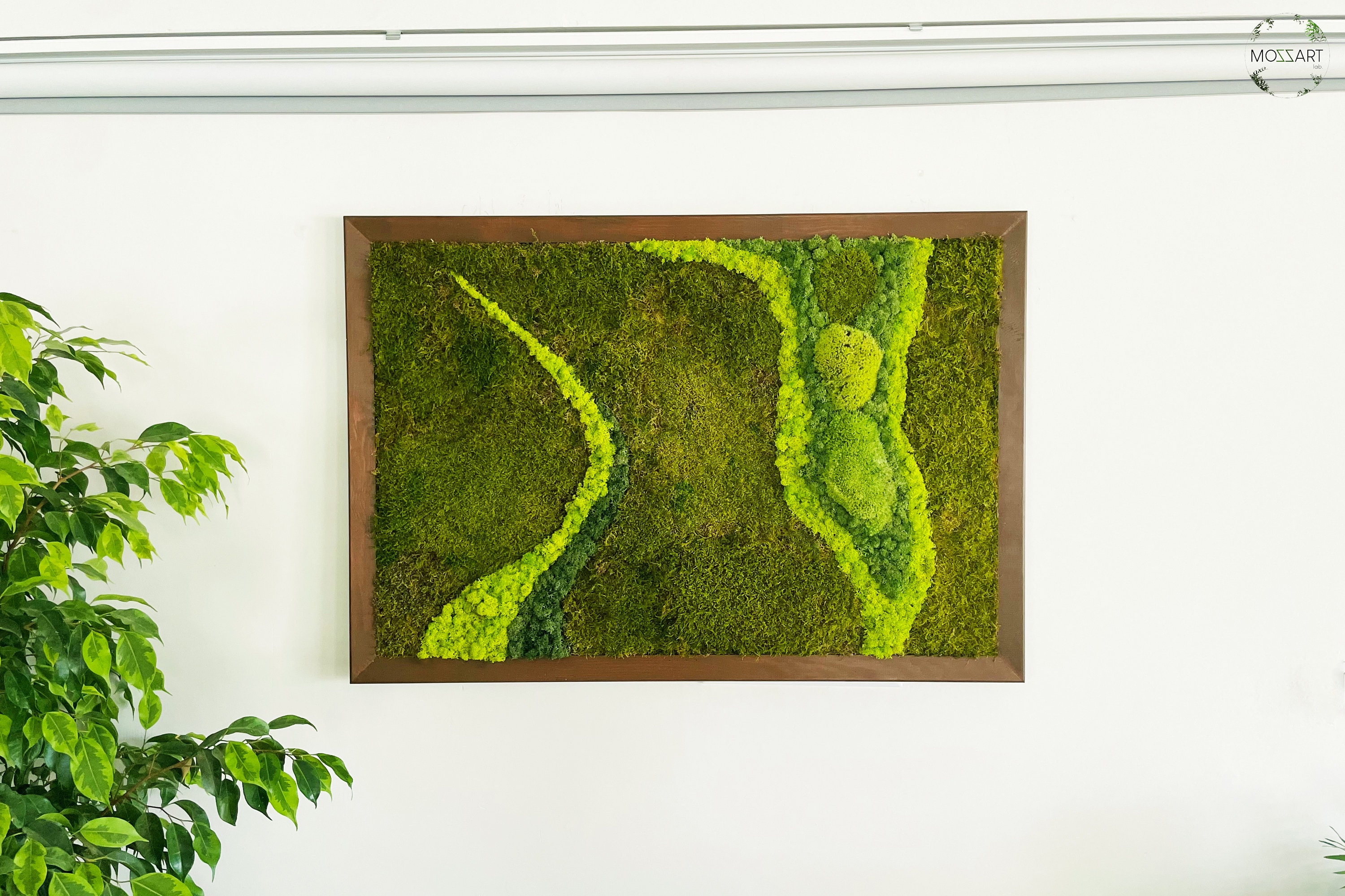 Moss Frame, Preserved Moss Wall Art, Moss Art, Moss Wall Decor, Moss ...