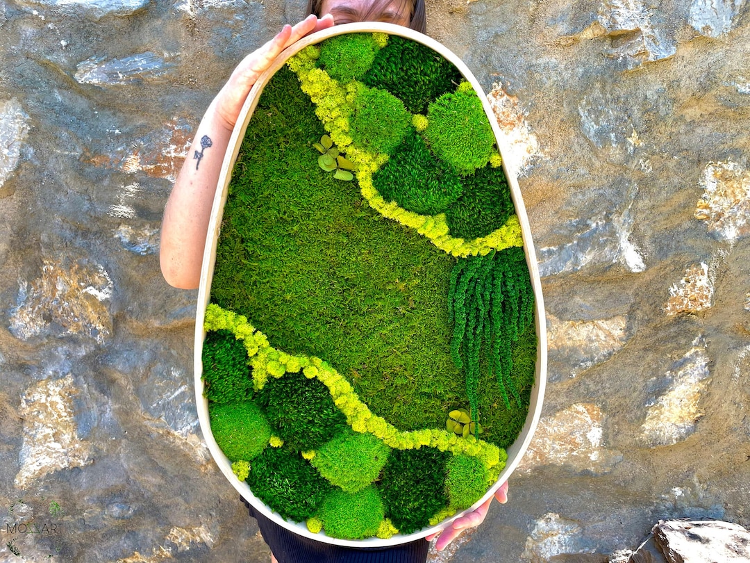 Preserved Moss Wall Art, Moss Art, Wooden Framed Moss Decor, Moss Frame ...