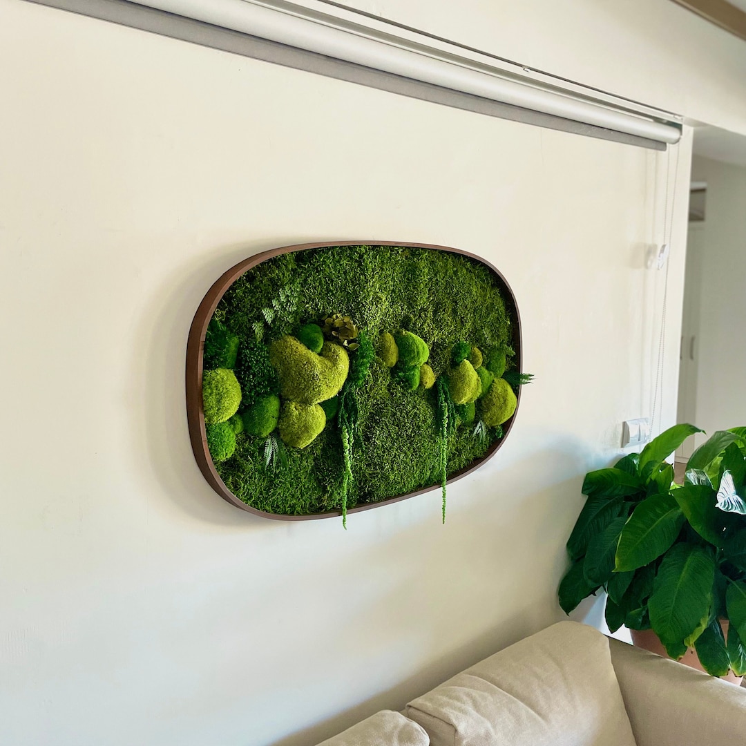 Moss Art, Preserved Moss Wall Art, Moss Wall Decor, Wooden Framed Moss ...
