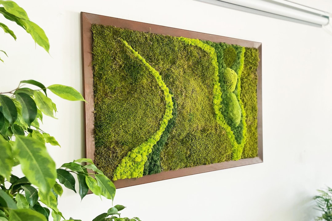 Moss Frame, Preserved Moss Wall Art, Moss Art, Moss Wall Decor, Moss ...