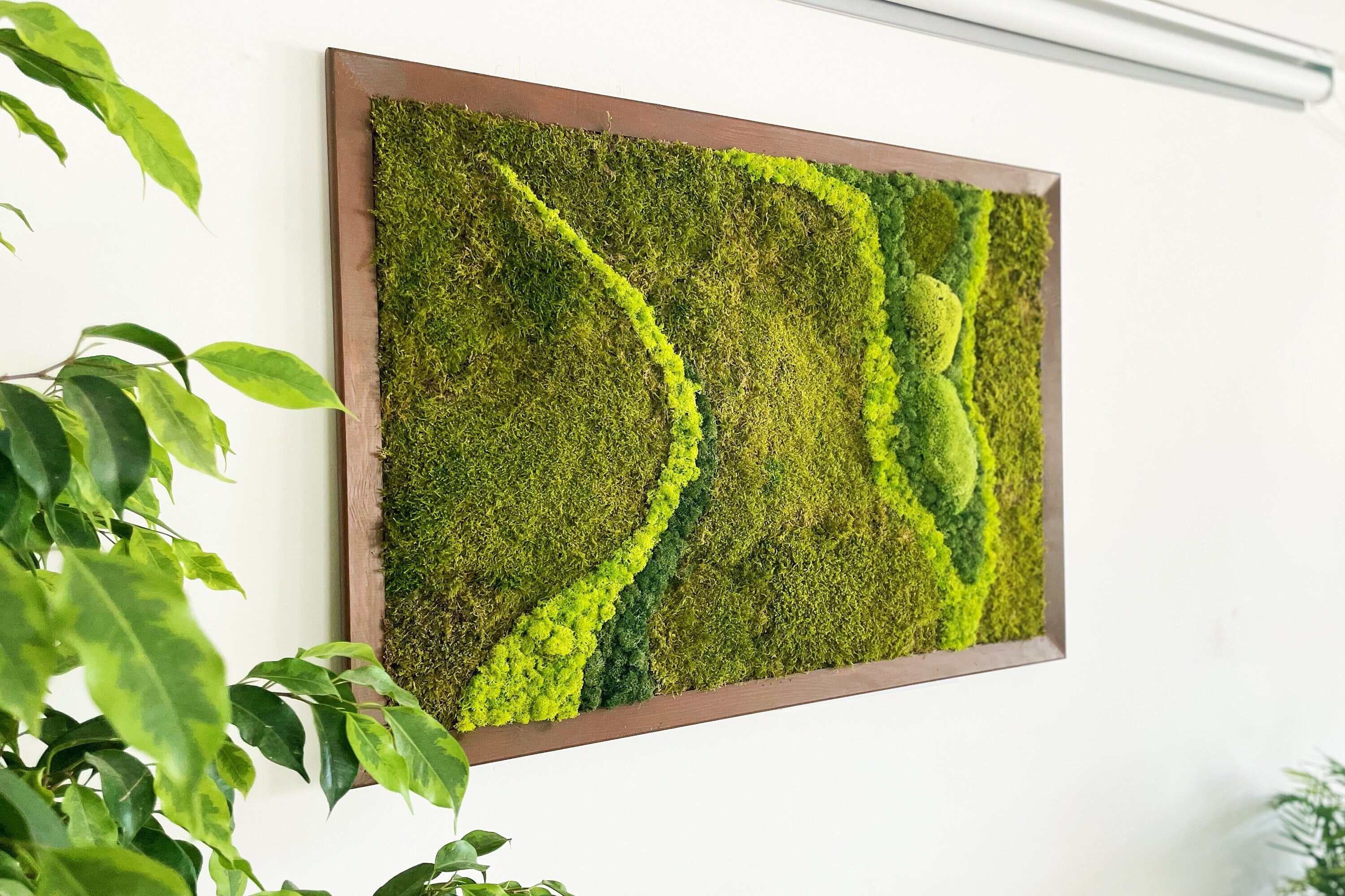 Moss Frame, Preserved Moss Wall Art, Moss Art, Moss Wall Decor, Moss ...