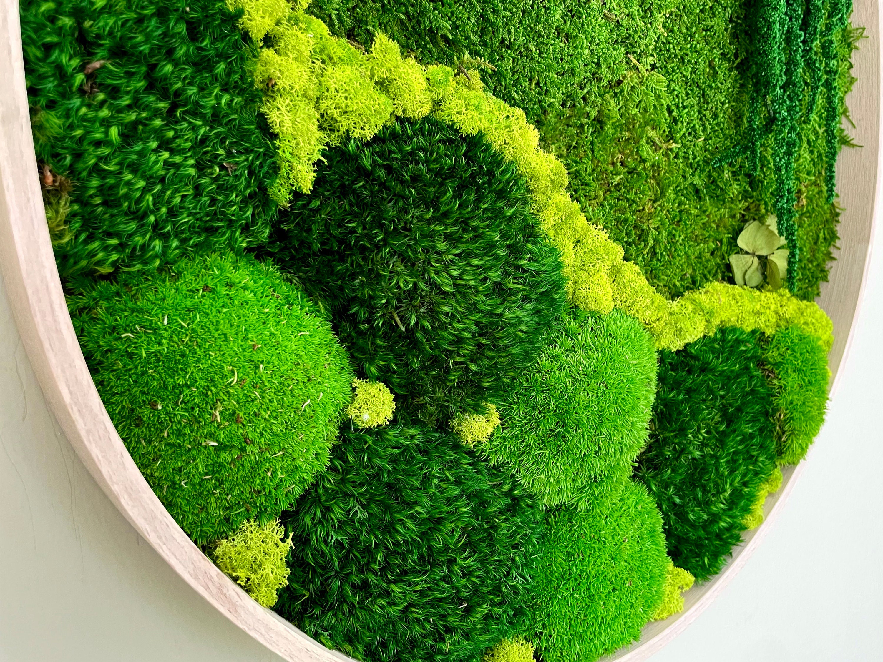 Preserved Moss Wall Art, Moss Art, Wooden Framed Moss Decor, Moss Frame ...