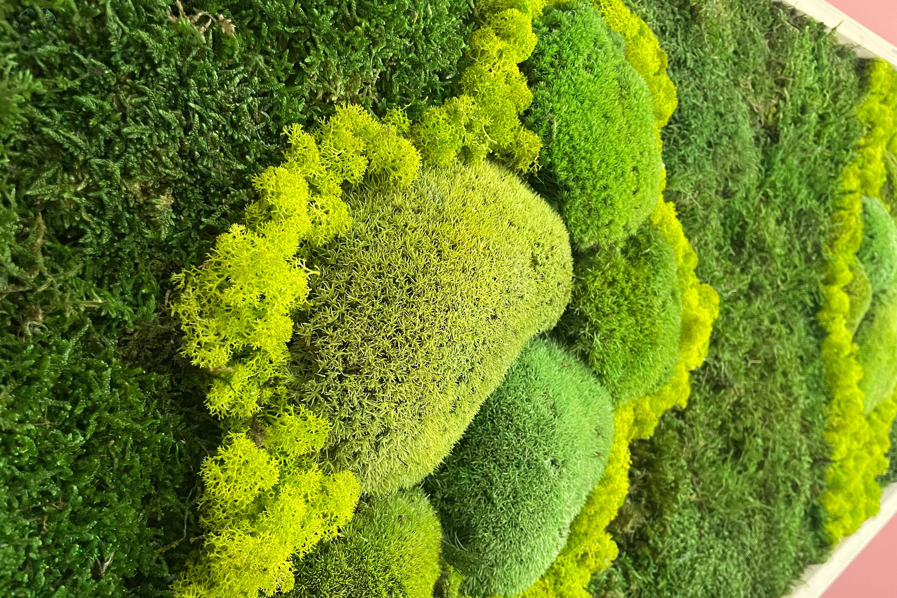 Moss Wall Art, Preserved Moss Decor, Moss Frame, Green Real Plant Wall ...