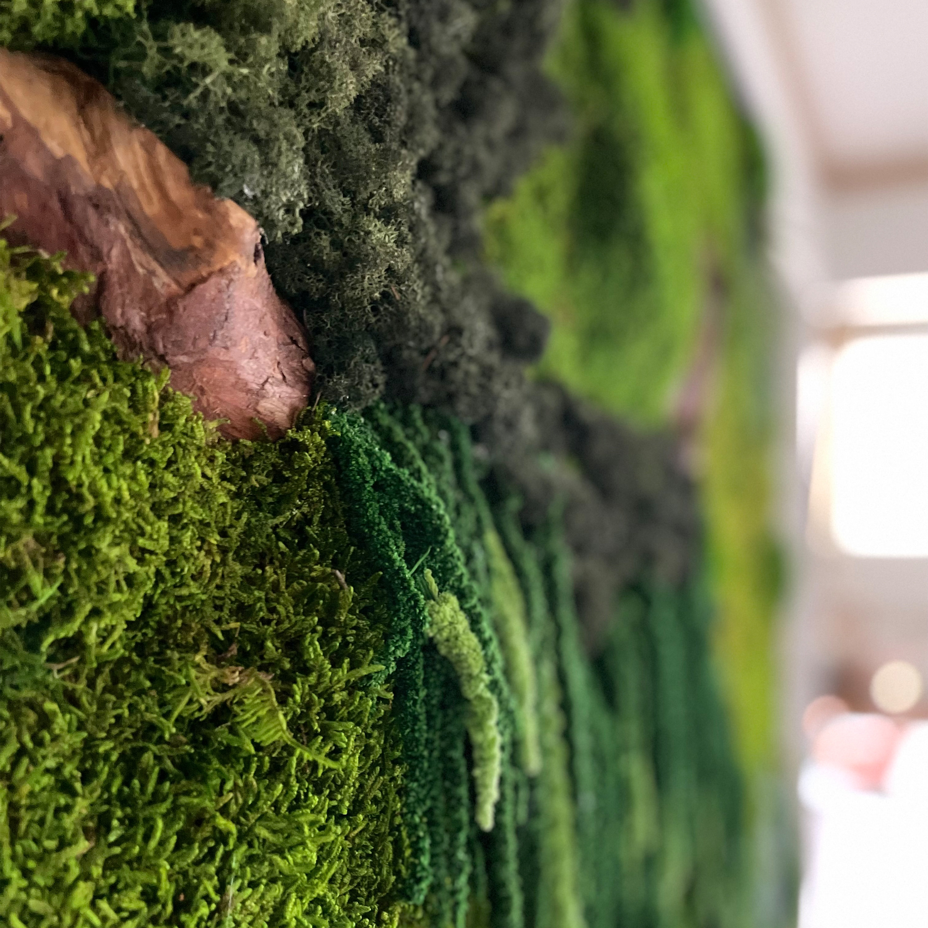 Large Moss Art, Preserved Moss Wall Art, Wooden Framed Moss Wall Panel ...