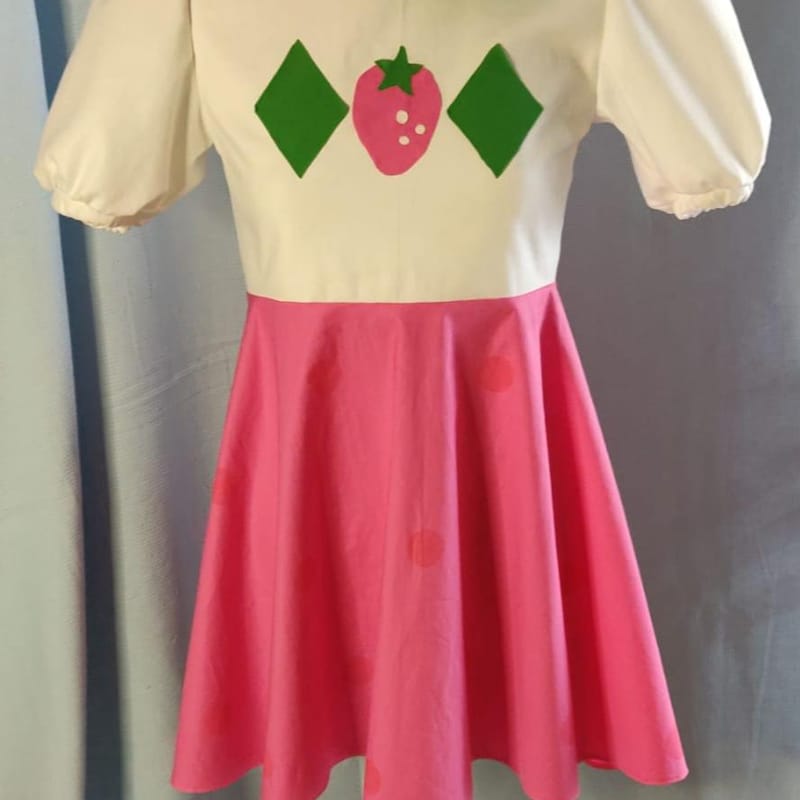 Strawberry Shortcake Characters Adult Costumes - Etsy