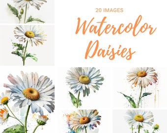 10 Digital Seamless Light Watercolor Daisies Patterns: Bold - Etsy