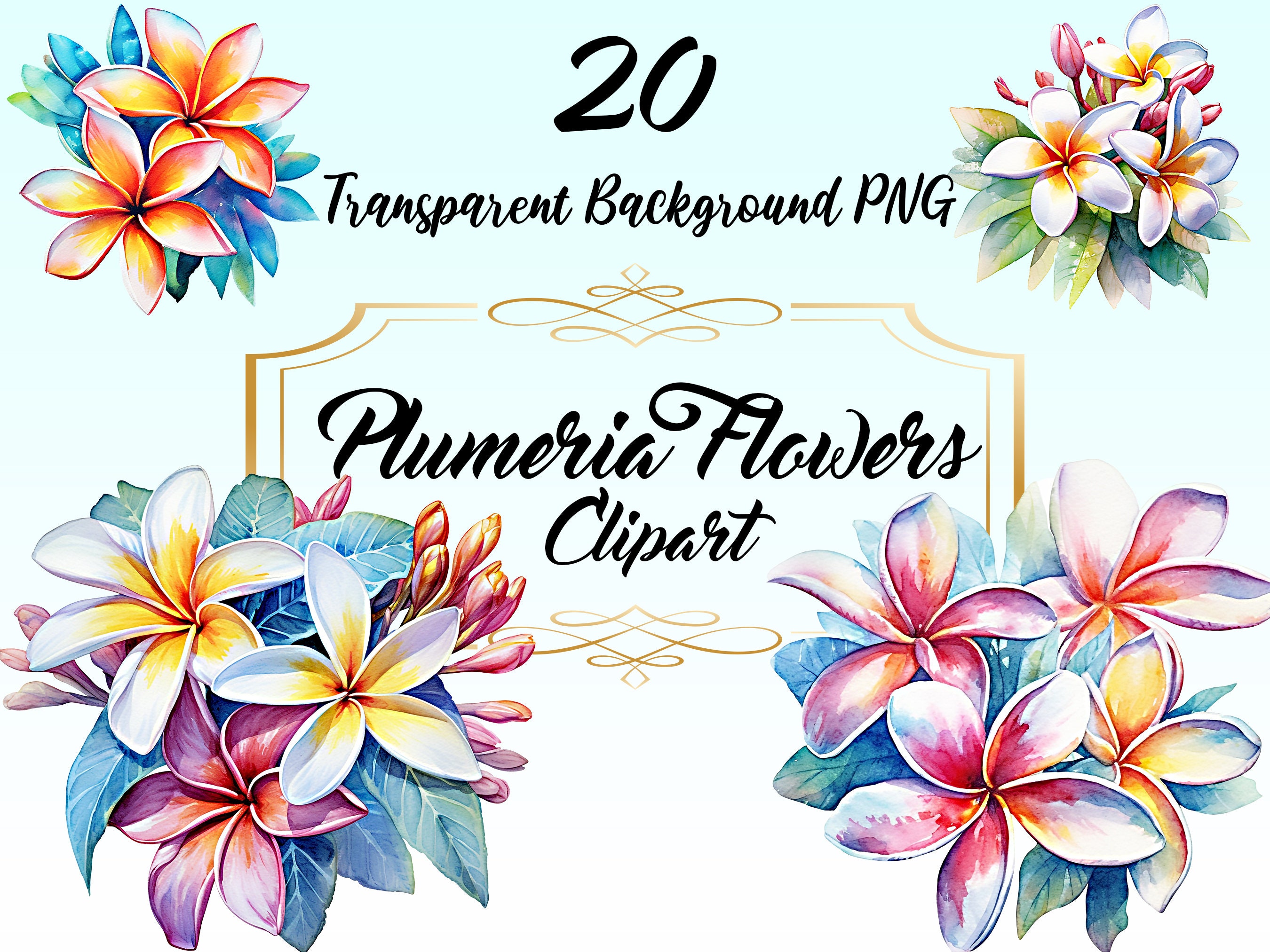 Plumeria Flower Clip Art