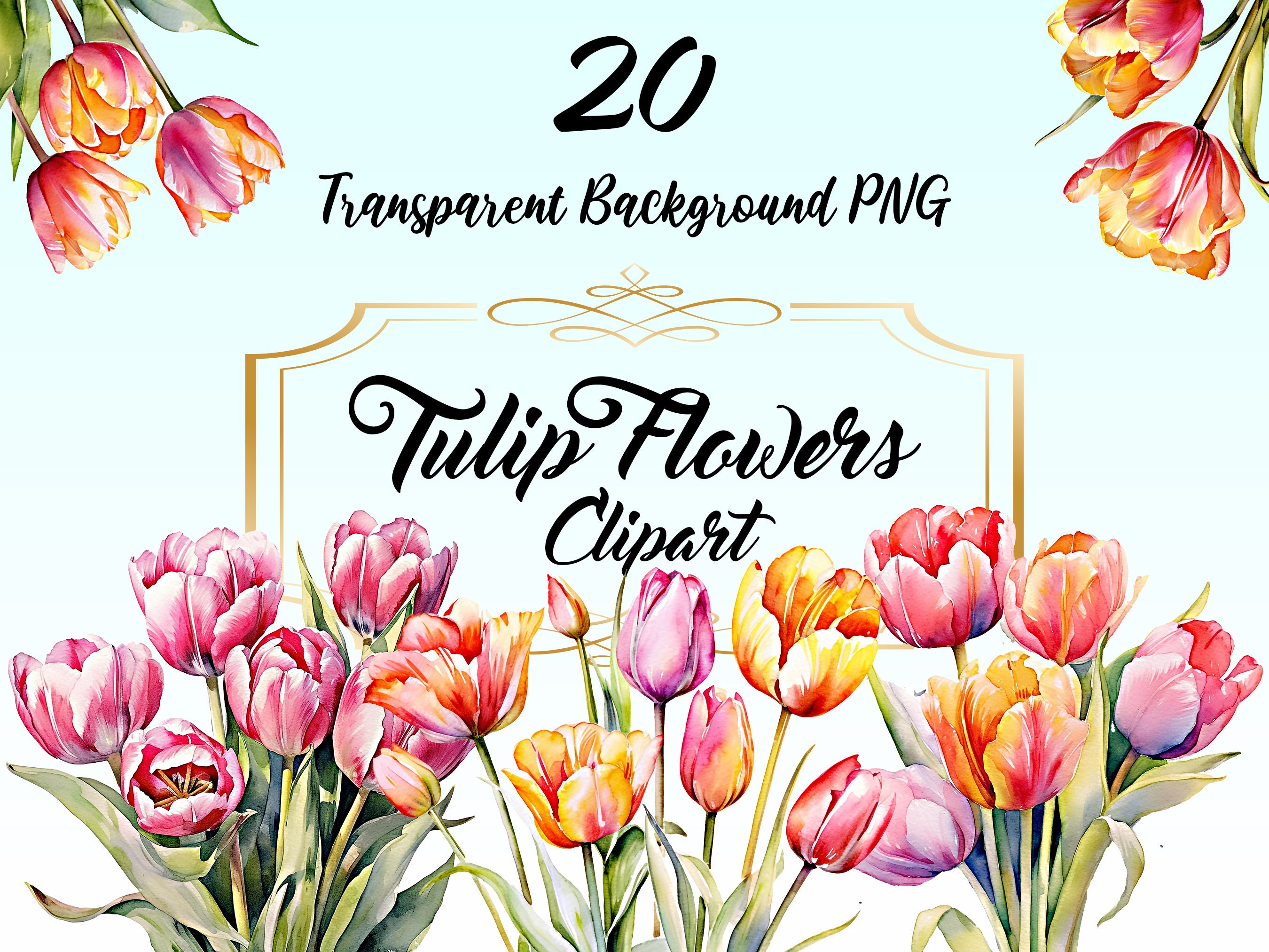 Tulip Flower PNG Clipart Bundle Spring Blossom Floral Design Set ...