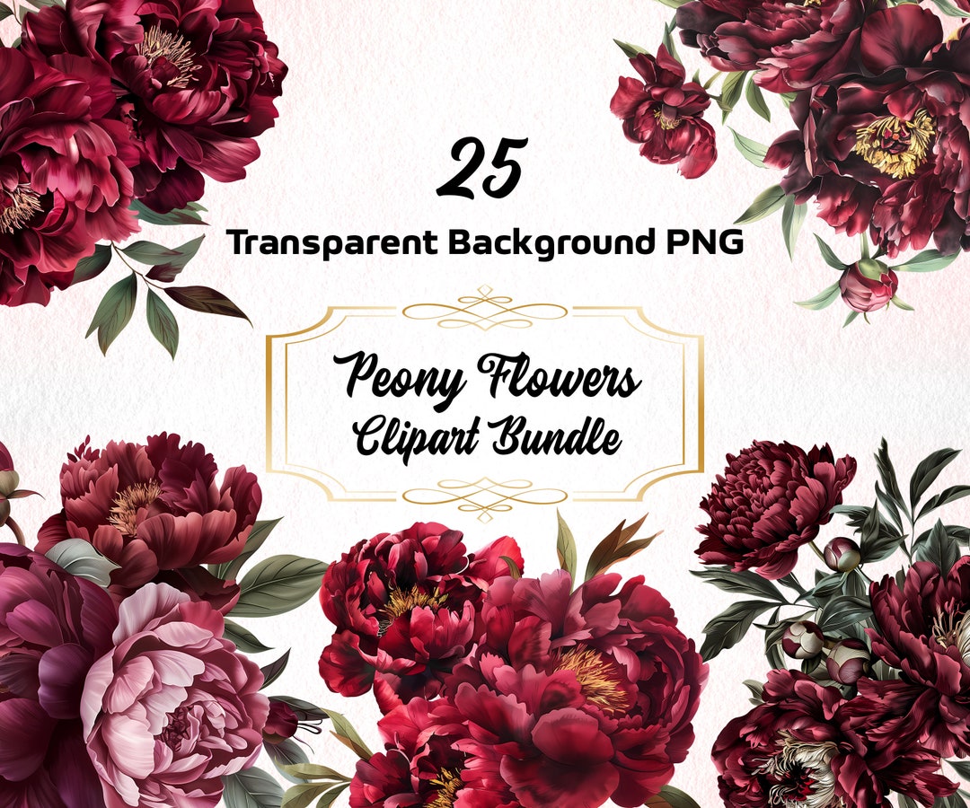 Burgundy Peony Flowers Clipart Bundle Floral PNG Botanical Digital Art ...