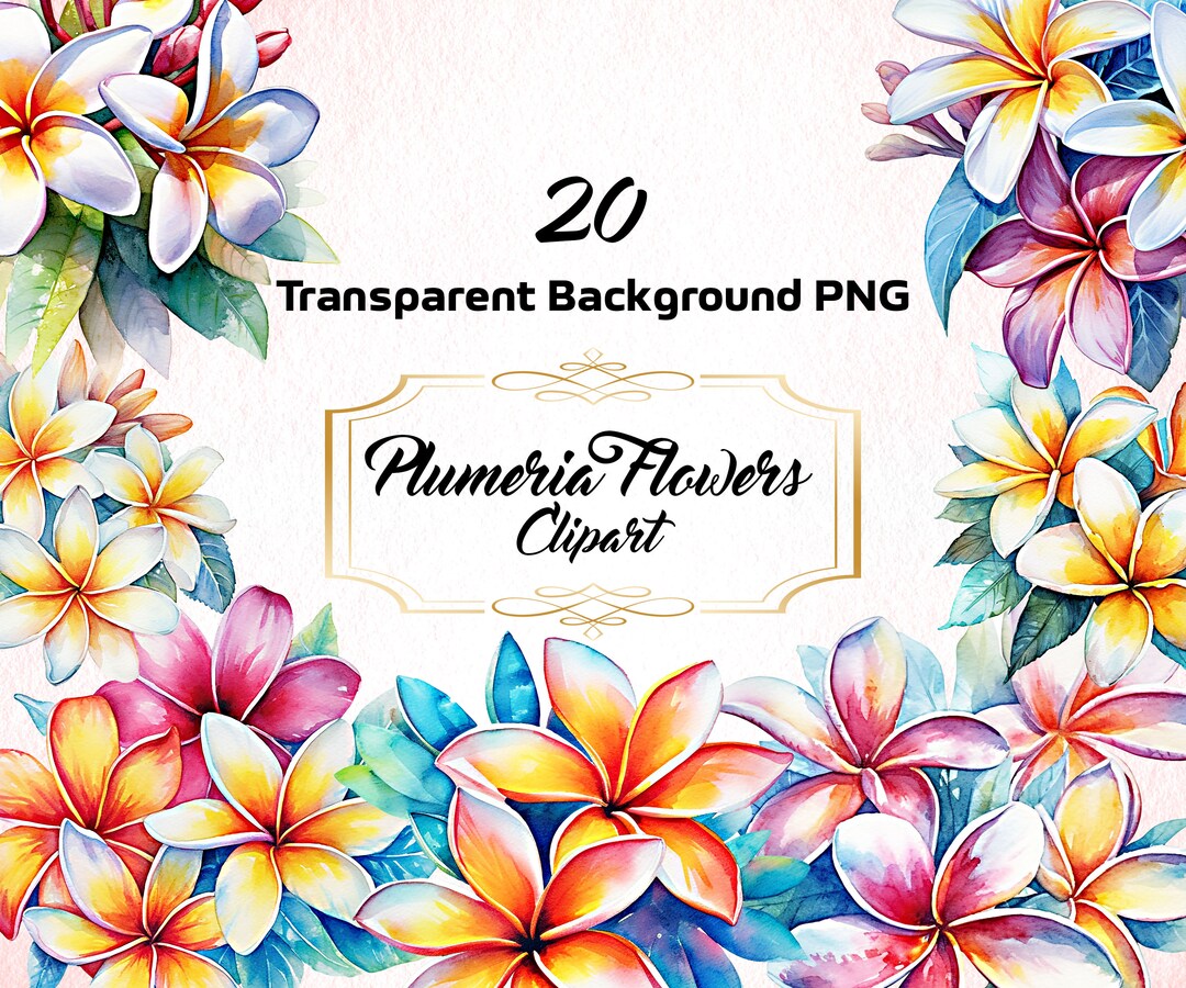 Watercolor Plumeria Clipart Bundle PNG Exotic Floral Art Botanical ...