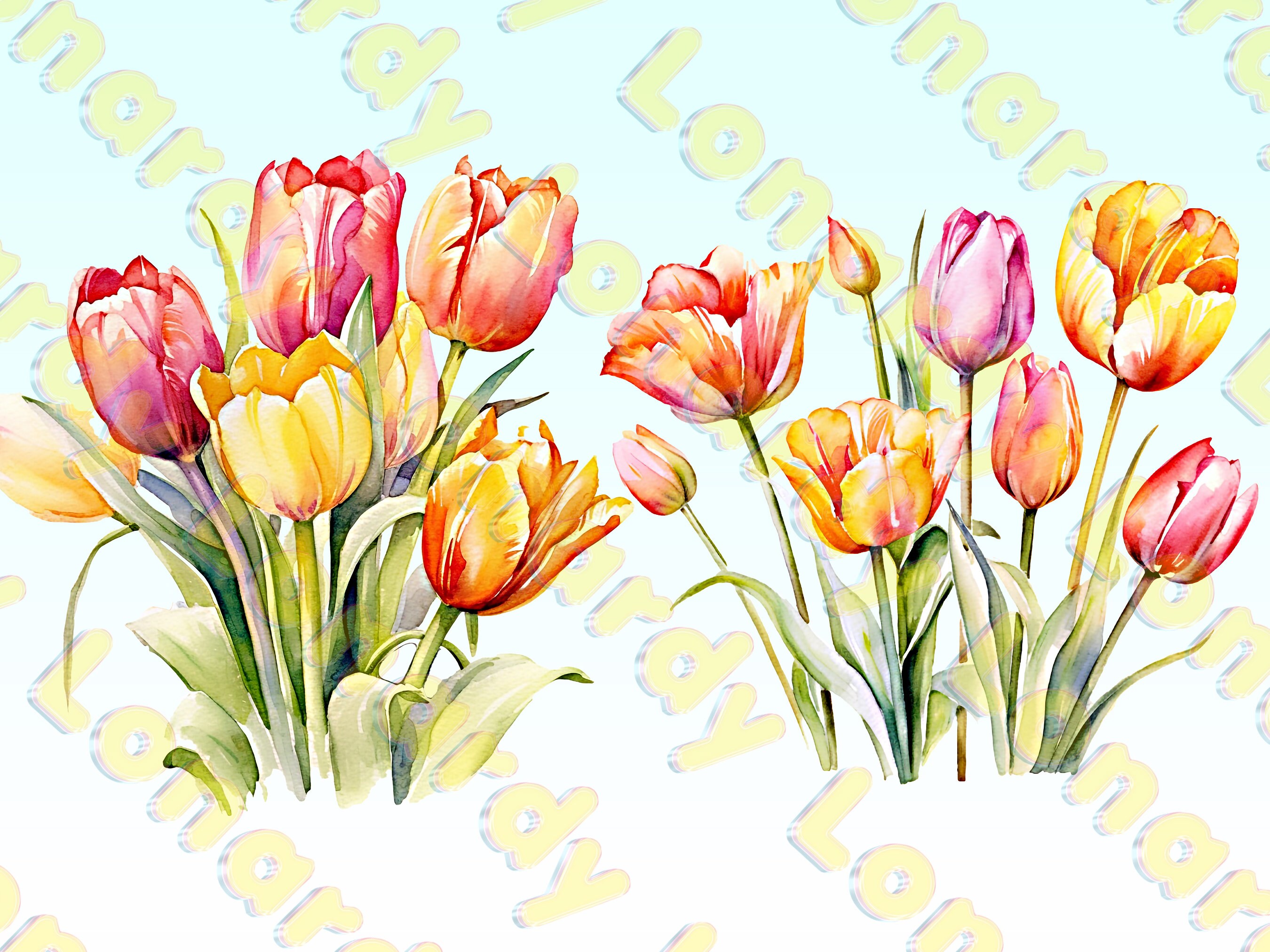 Tulip Flower PNG Clipart Bundle Spring Blossom Floral Design Set ...
