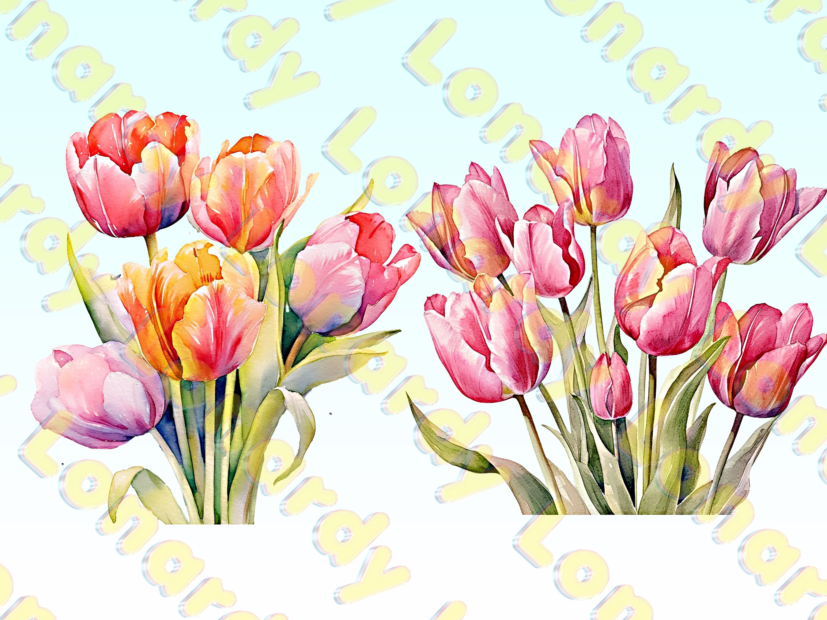 Tulip Flower PNG Clipart Bundle Spring Blossom Floral Design Set ...