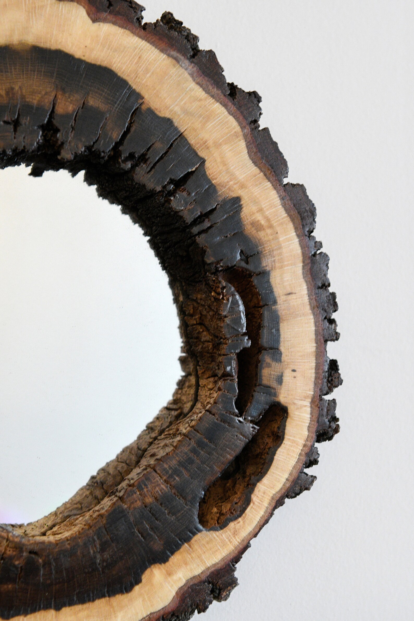 Live Edge Mirror, Wooden Mirror, Natural Live Edge Mirror, Natural Log ...