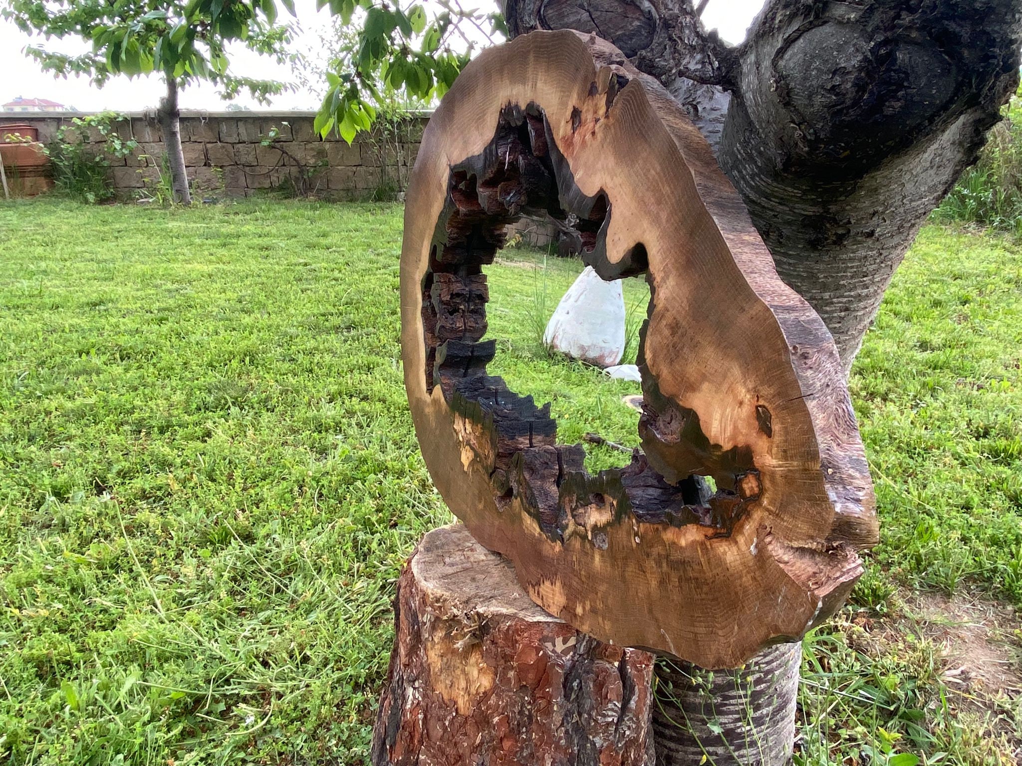 Live Edge Mirror Wooden Mirror Natural Live Edge Mirror Natural Log