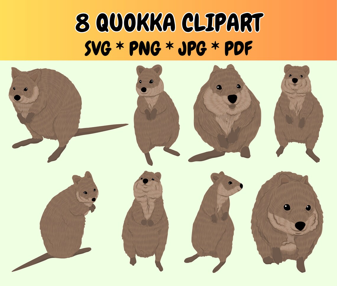 8 Cute Quokka Clipart Bundle SVG PNG, Baby Quokka, Pet Clipart, Cute ...