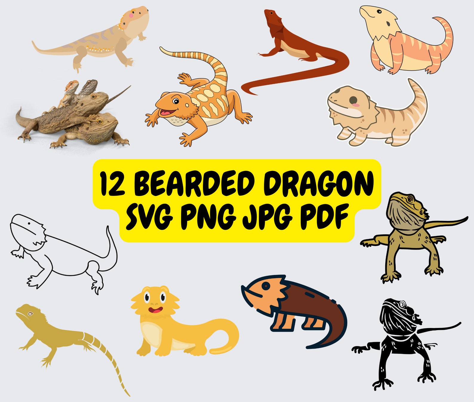 12 Bearded Dragon Clipart Bundle SVG PNG JPG Pdf, Cartoon Animal ...
