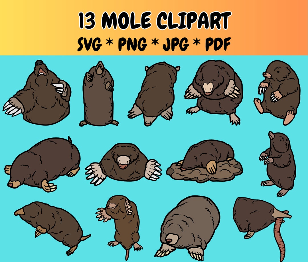 13 Cute Mole Clipart Bundle SVG PNG, Animal Clipart, Pet Clipart, Cute Animal Clipart, Mole ...