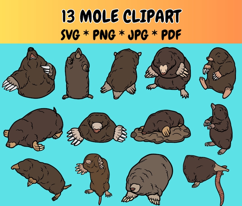 13 Cute Mole Clipart Bundle SVG PNG, Animal Clipart, Pet Clipart, Cute ...