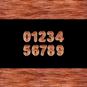 3D Furry Font Clipart: Animal Print Letters, Numbers (PNG SVG Bundle ...