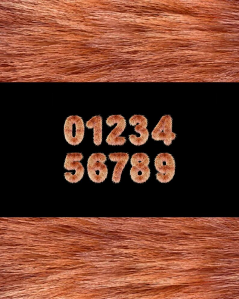 3D Furry Font Clipart: Animal Print Letters, Numbers (PNG SVG Bundle ...