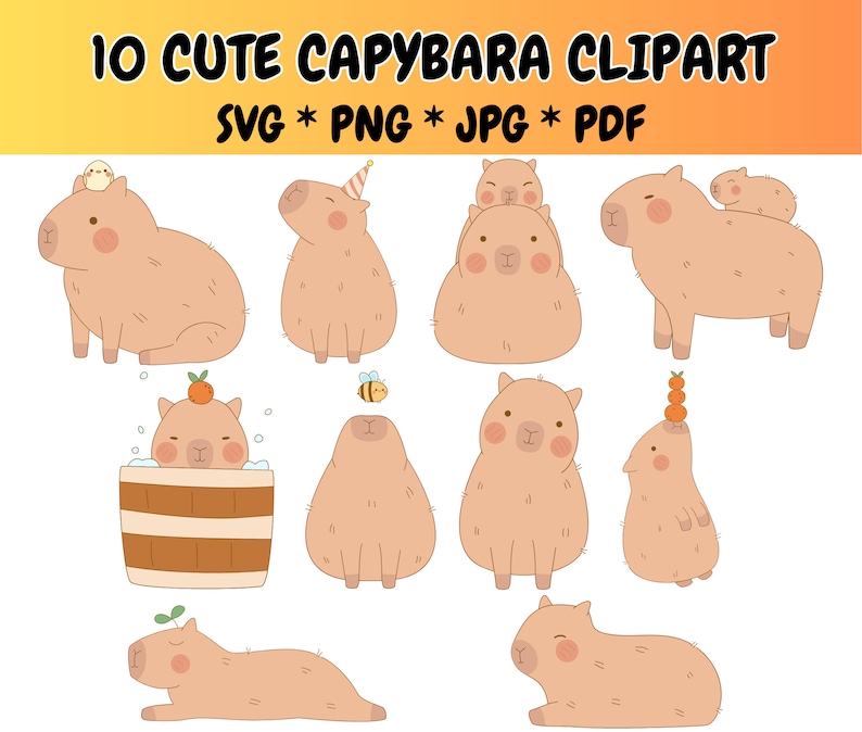 10 Cute Capybara Clipart Bundle SVG PNG JPG Pdf Icons Baby - Etsy