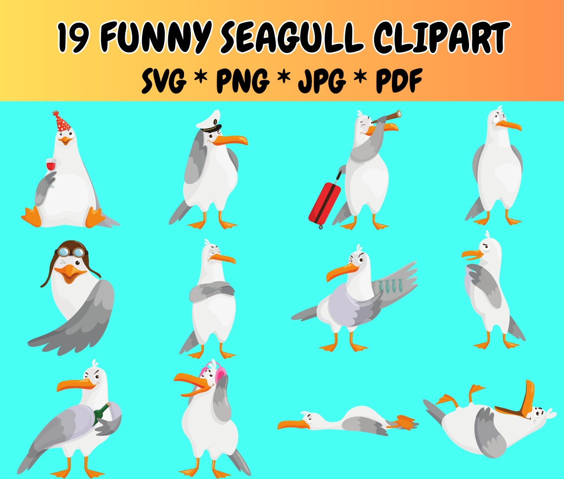 19 Funny Seagull Clipart Bundle SVG PNG JPG Pdf Icons Cute - Etsy