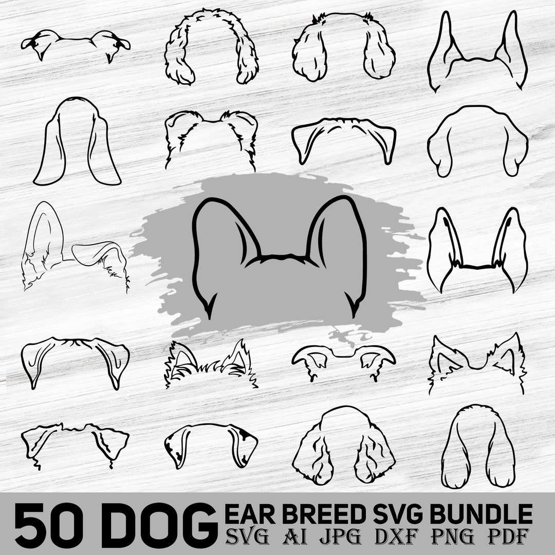 50 Dog Ear Breed Line Art Hand Drawing ,dog Ears Outline Print ...