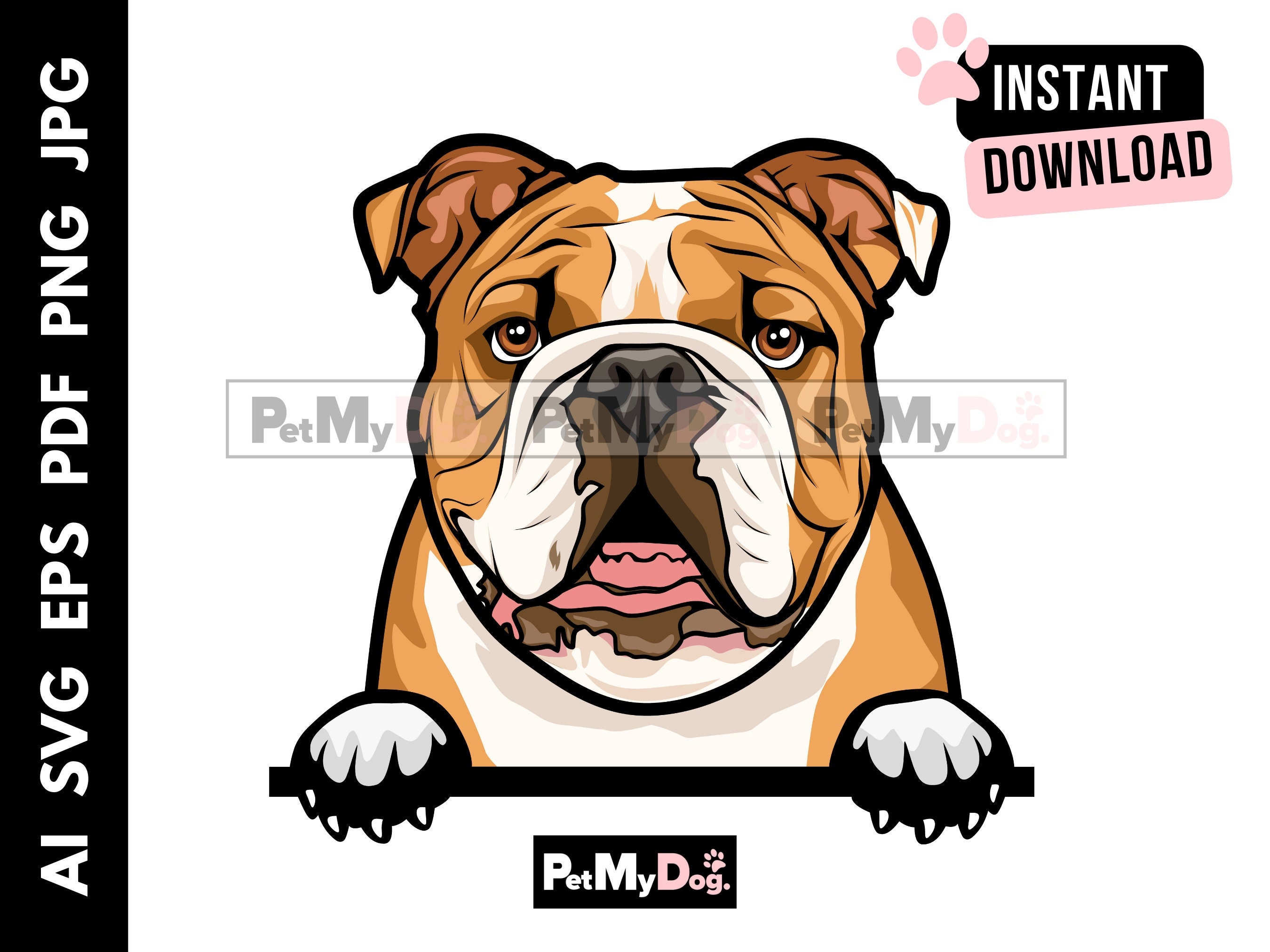 English Bulldog Vector