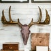 Rhinestone Faux Deer Head With Antlers - Etsy