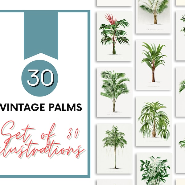 Palm Tree Poster - Etsy