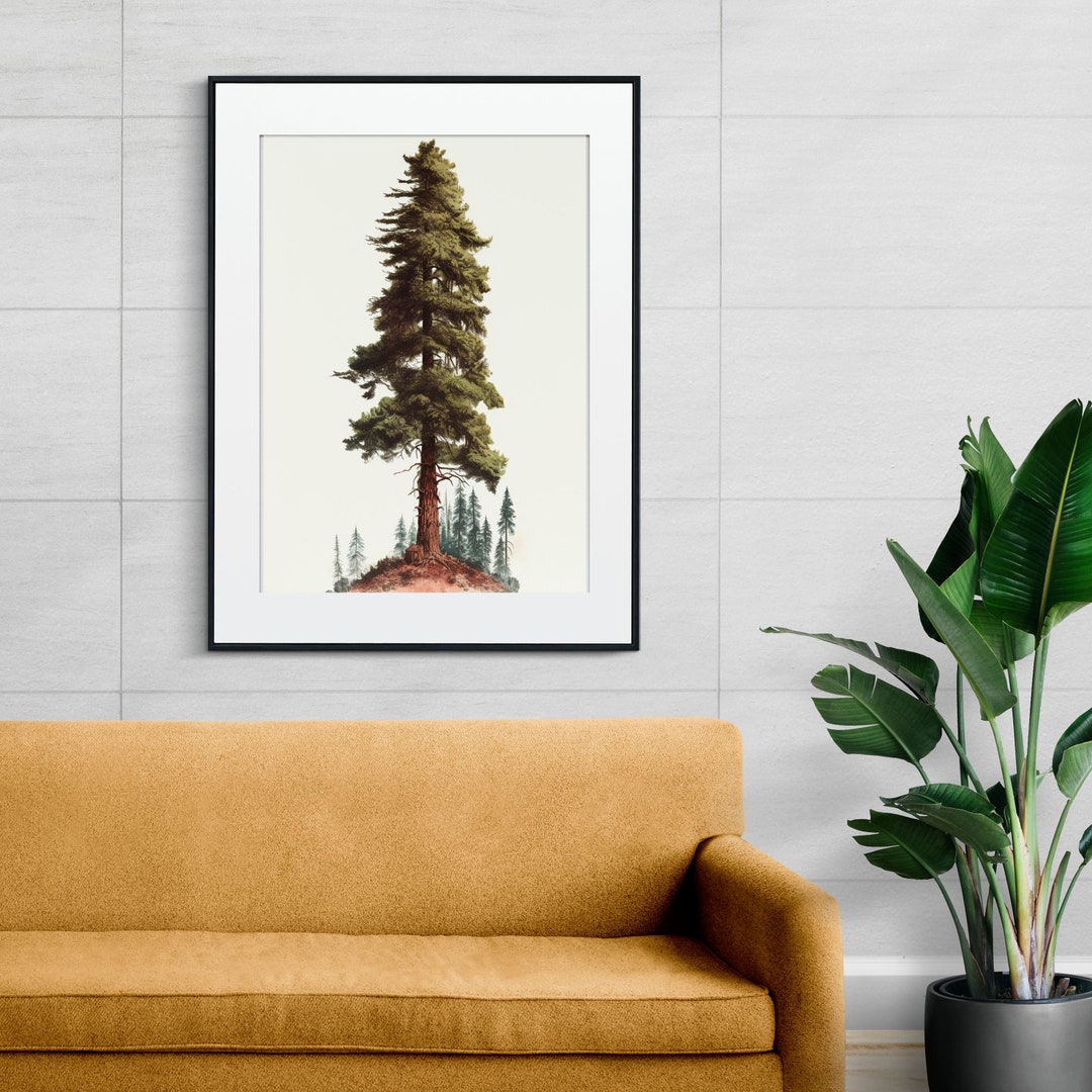 Redwood Digital Download Tree Art Decor Beautiful Redwood Art Gift - Etsy
