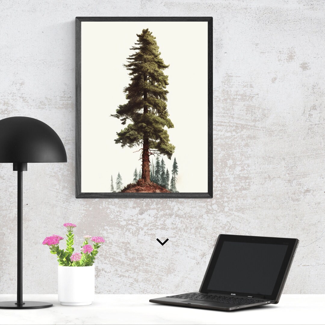 Redwood Digital Download Tree Art Decor Beautiful Redwood Art Gift - Etsy