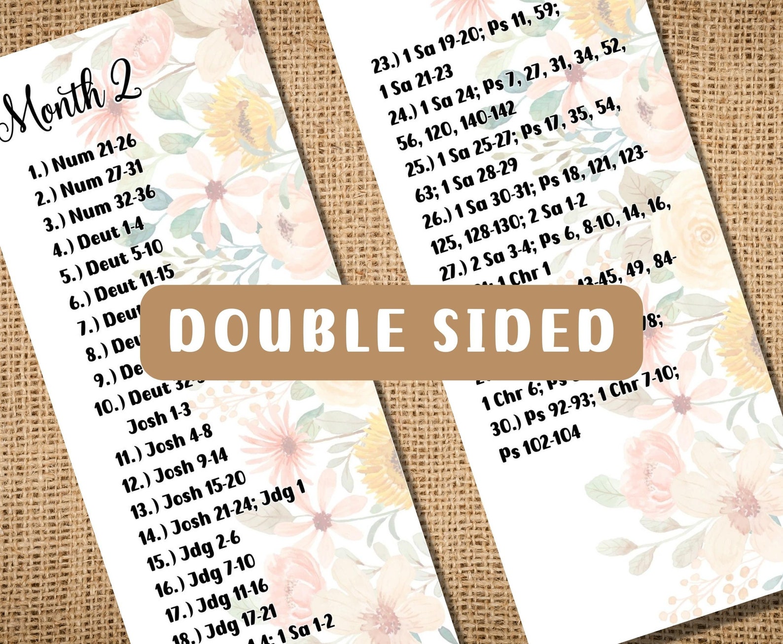 Printable 6 Month Bible Reading Plan, Set of Six Chronological Bible ...