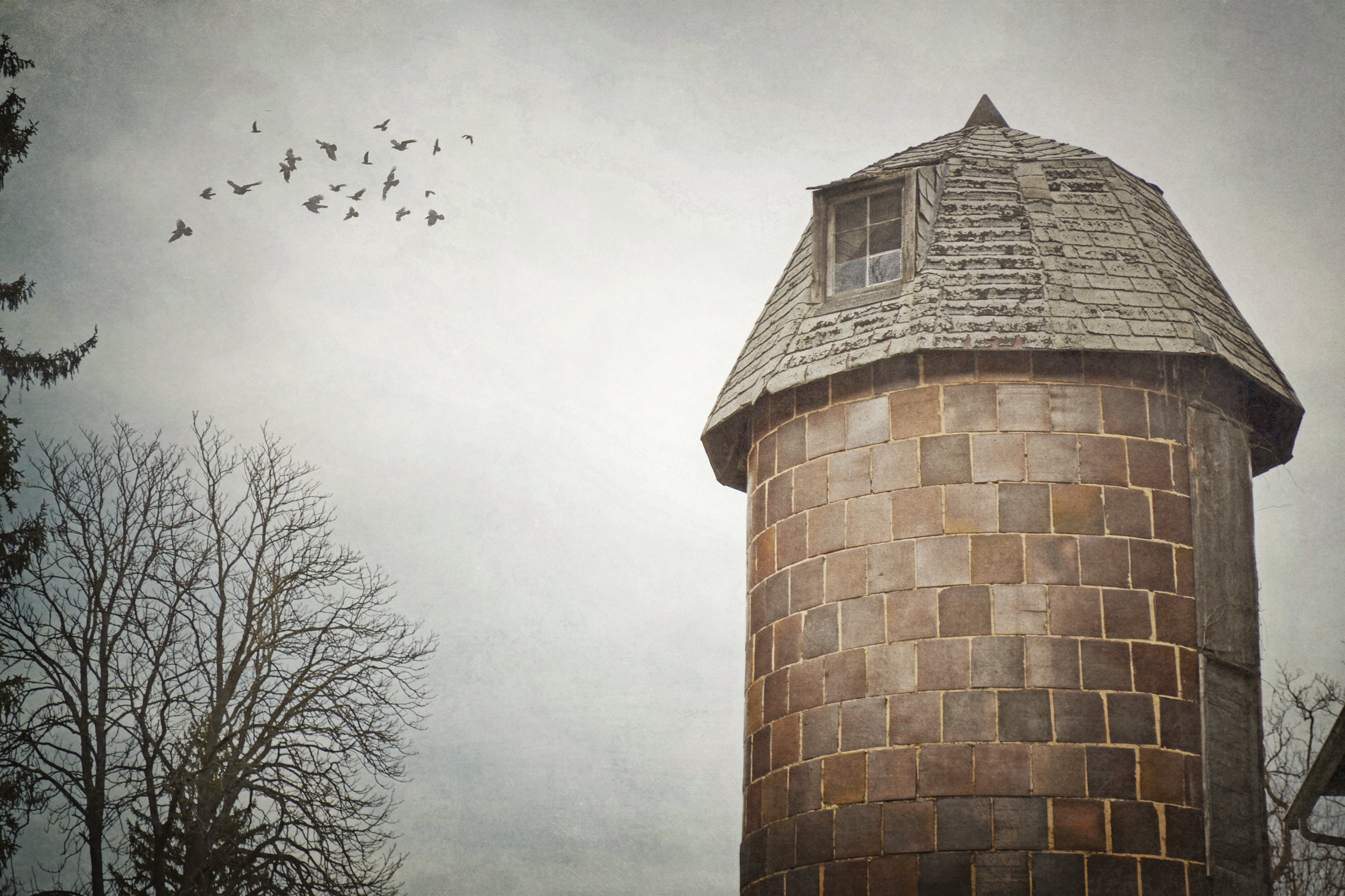 Barn Silo Photography Print, Rustic Farmhouse Wall Art, Farm ...