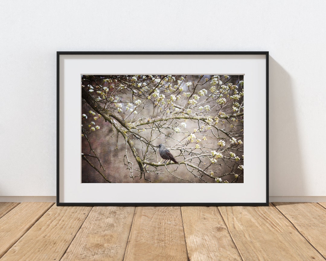 Bird Photography Print, Rustic Farmhouse Decor. Crow Art, Raven Art ...
