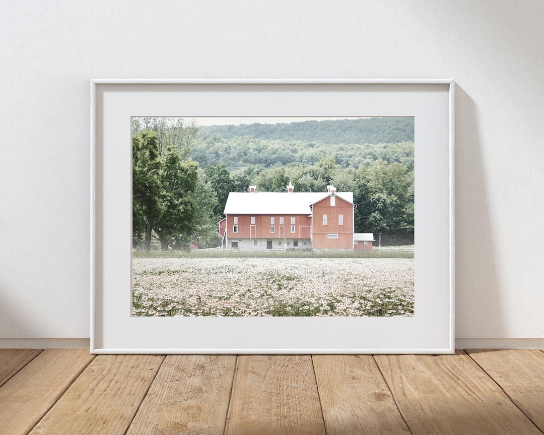 Red Barn Photography Print, Rustic Farmhouse Decor, Wildflower Field ...