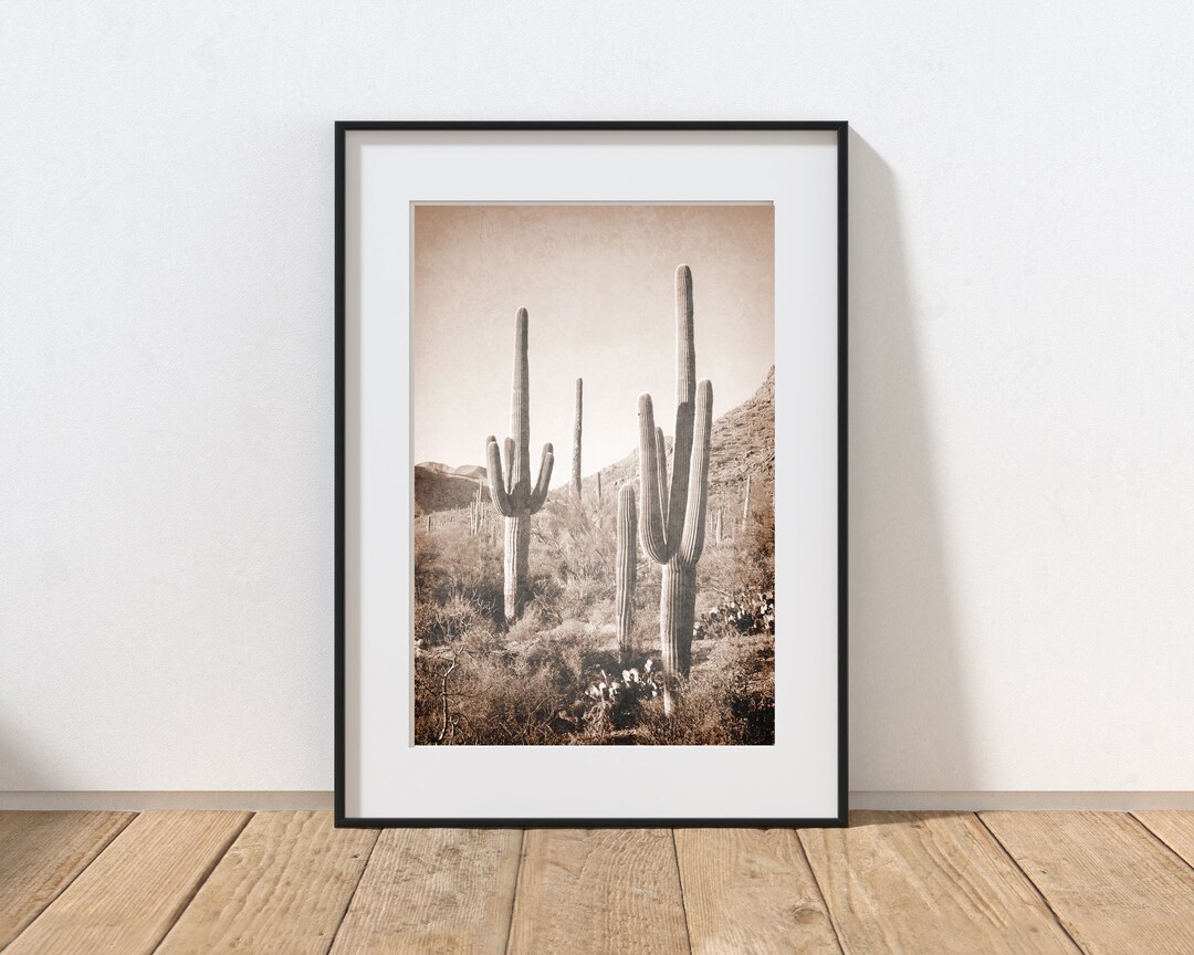 Cactus Photography Print, Rustic Southwest, Cacti Art Decor, Farmhouse ...