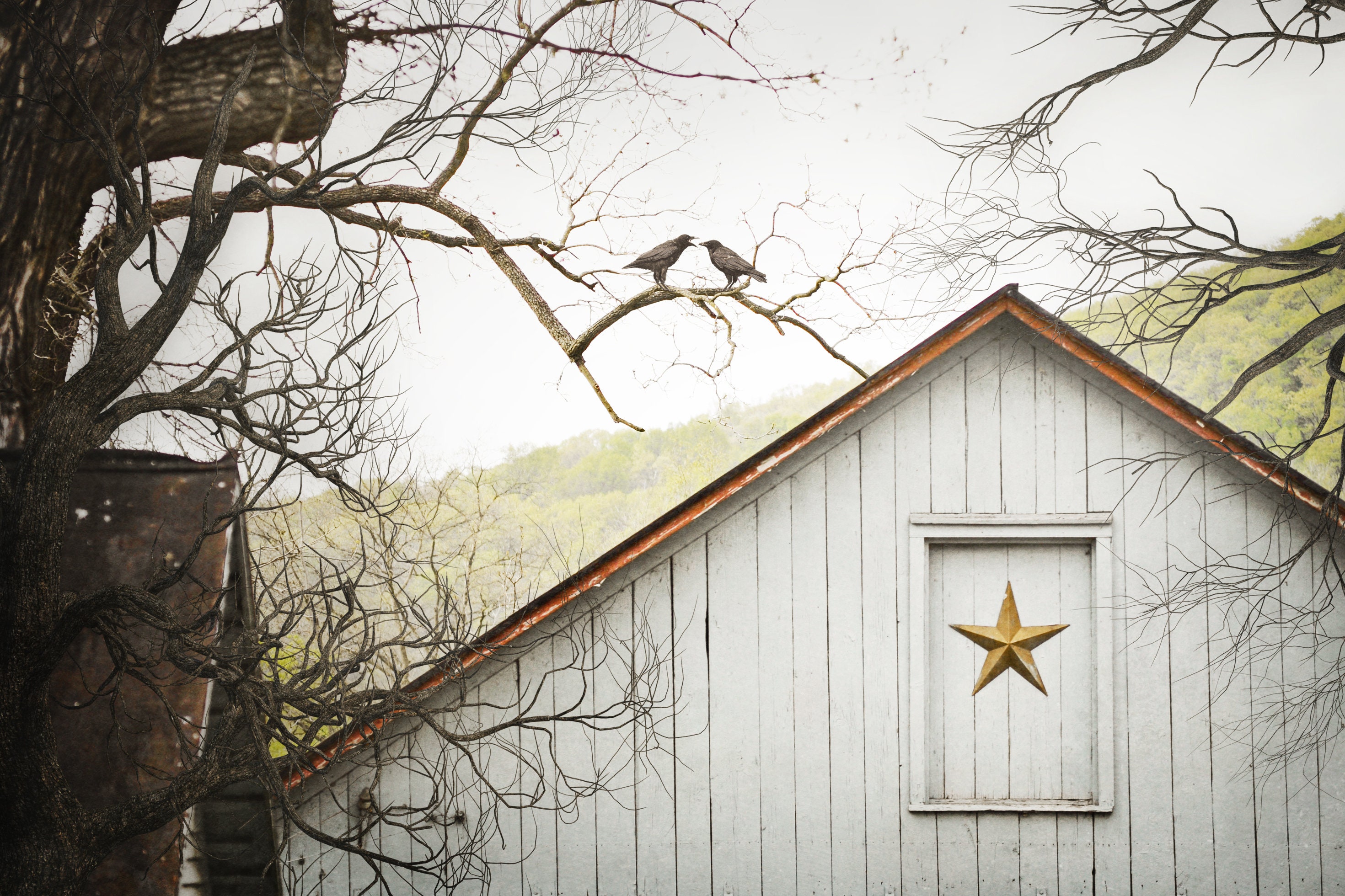 Barn Photography Print, Rustic Farmhouse Decor, Farm Photography, Star ...