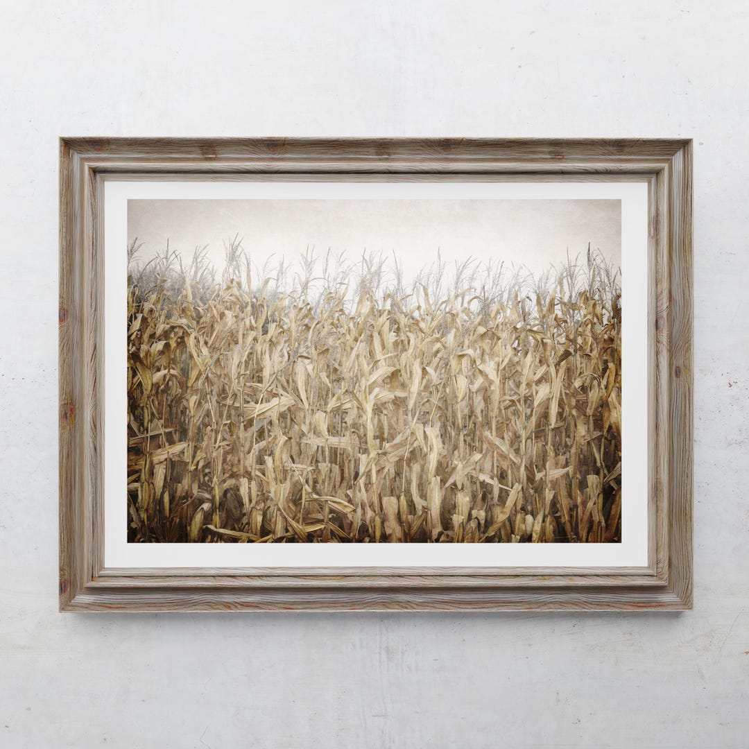 Cornfield Photography Print, Farmhouse Decor, Rustic Home Decor, Farm ...