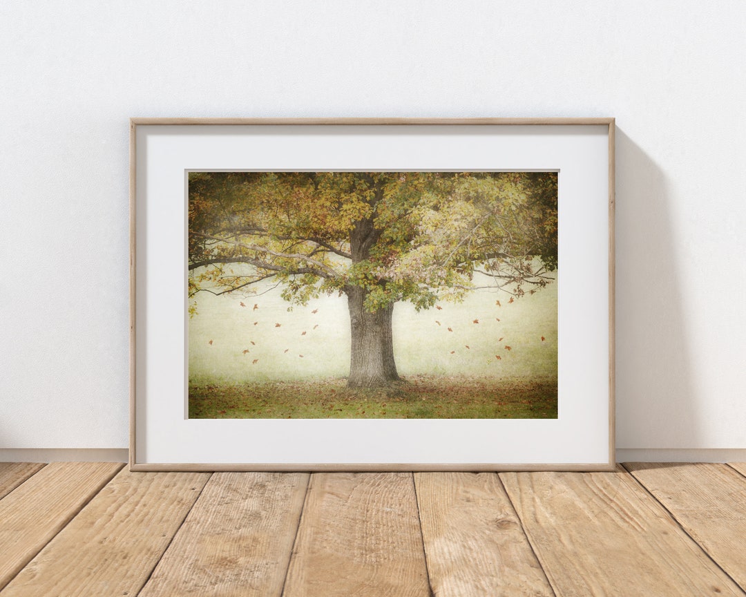 Tree Photography Print, Rustic Farmhouse Decor, Wall Art, Fall Foliage ...
