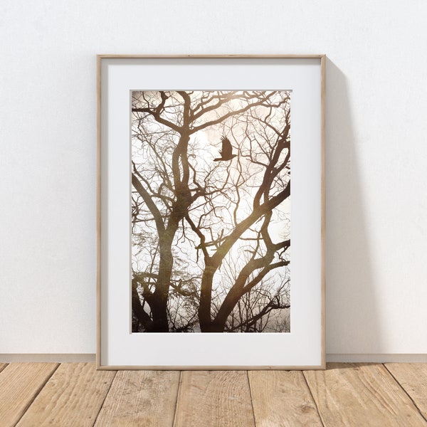 Raven Photography - Etsy