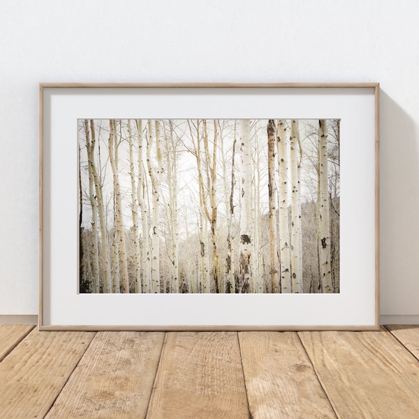 Aspen Trees - Etsy