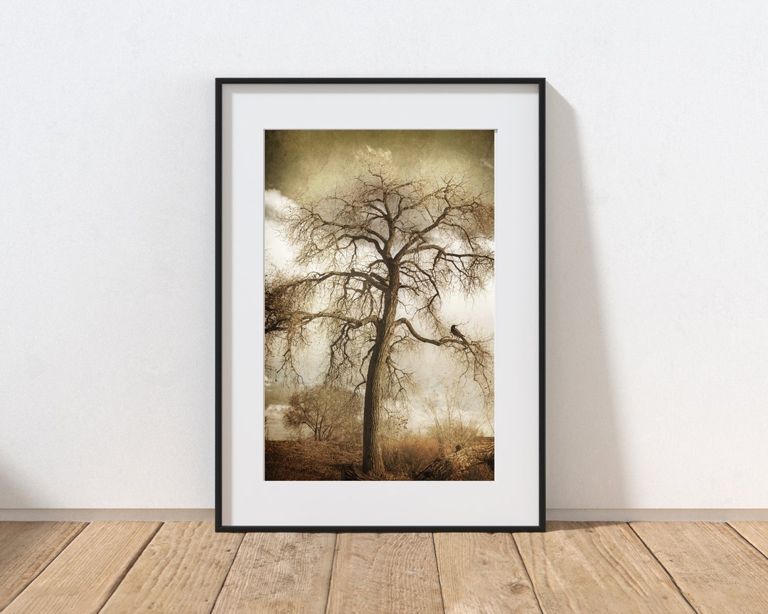 Tree Photography Print, Rustic Farmhouse Decor, Southwest Forest, Raven ...