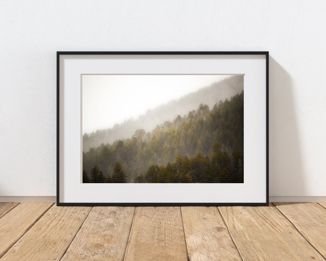 Forest Fog Photography Print, Woodland Trees, Mountain Fog Clouds ...