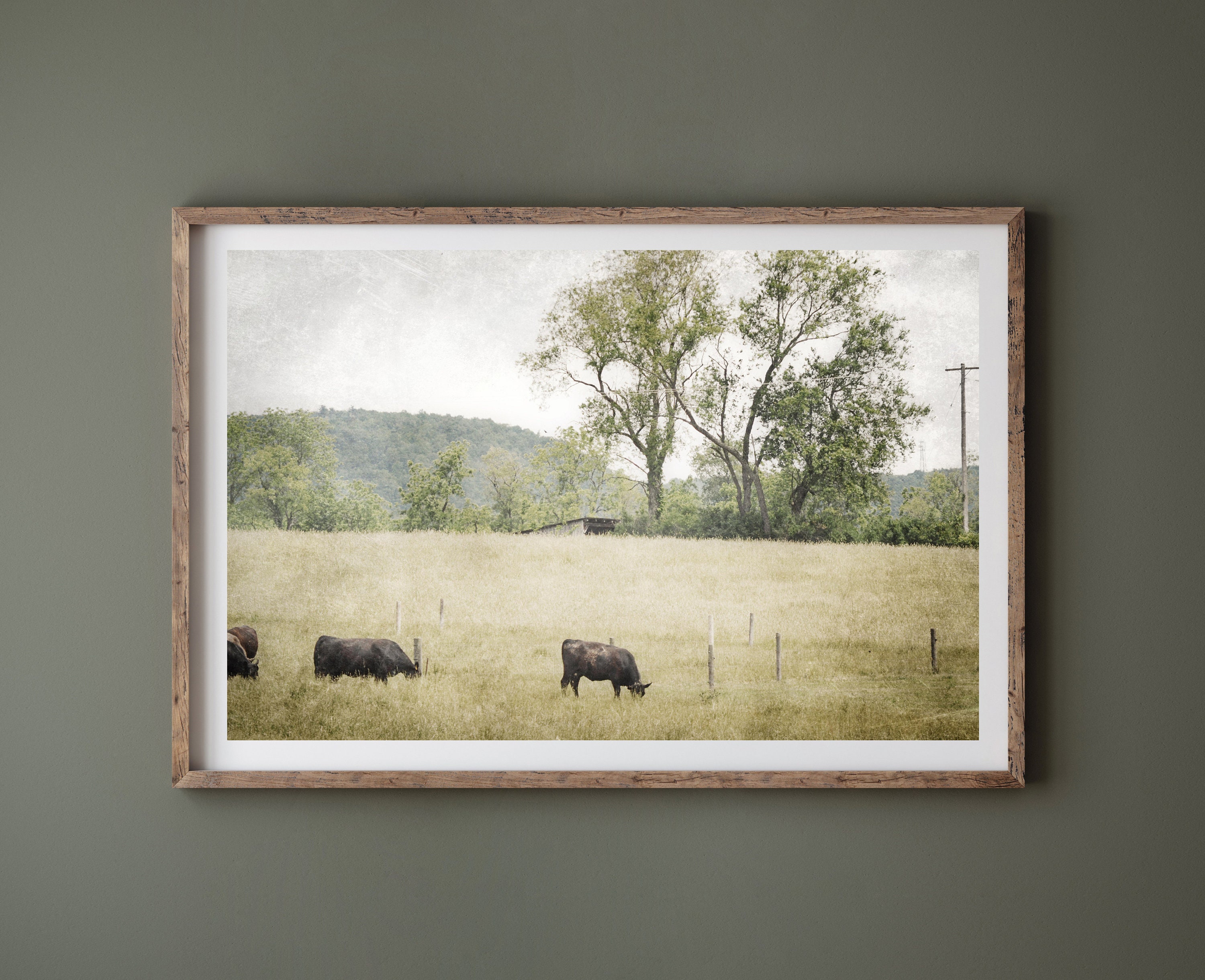 Farm Photography Print, Rustic Farmhouse Decor, Farm Animals, Cow Art ...