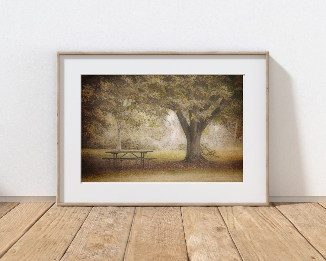 Maple Trees Photography Print, Rustic Farmhouse Decor, Fall Foliage ...
