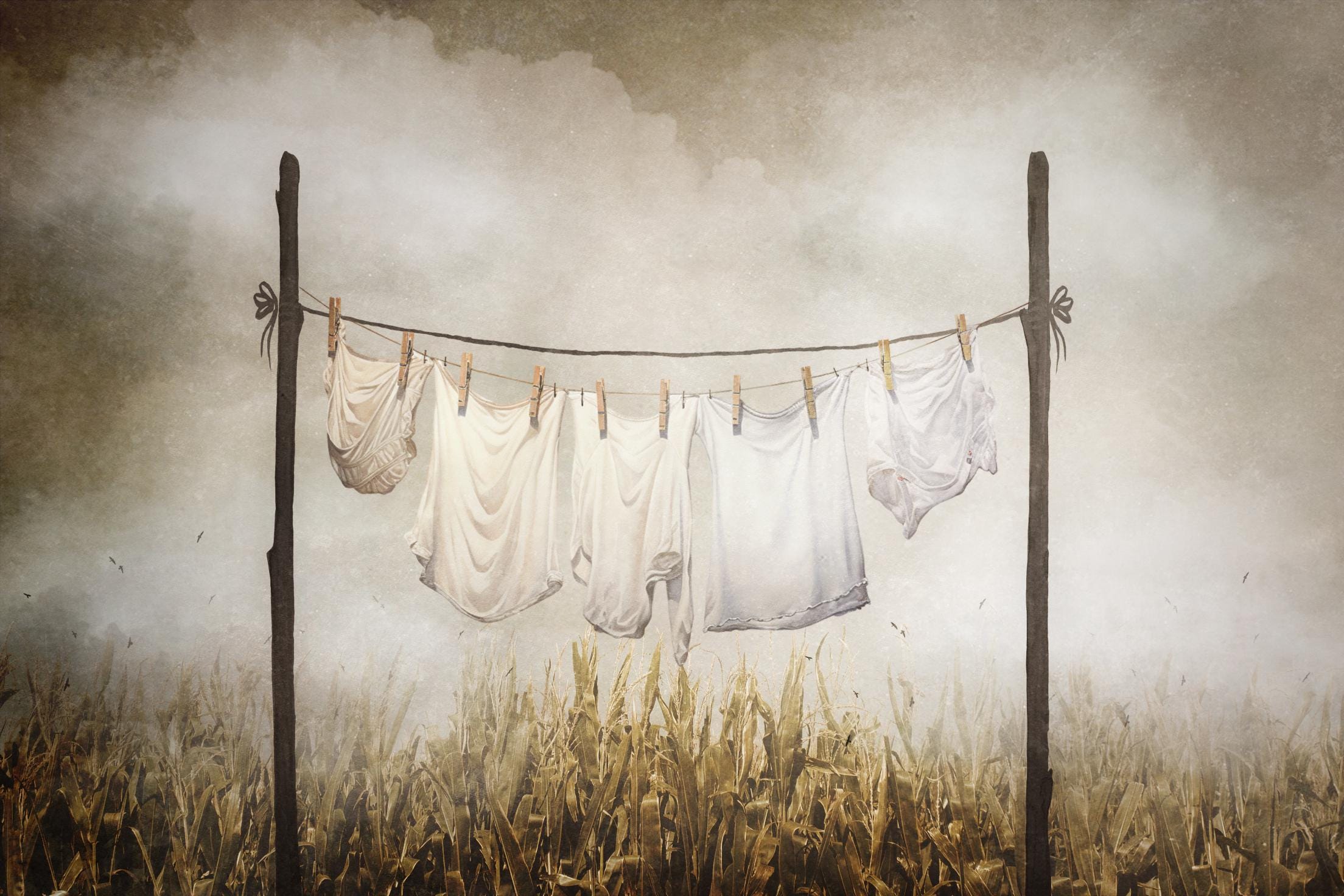 Clothesline Photography Print, Farmhouse Decor, Rustic Home Decor ...